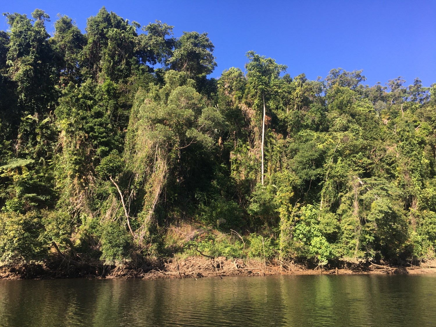 Driving to Cooktown via the Bloomfield Track – Julie Fison