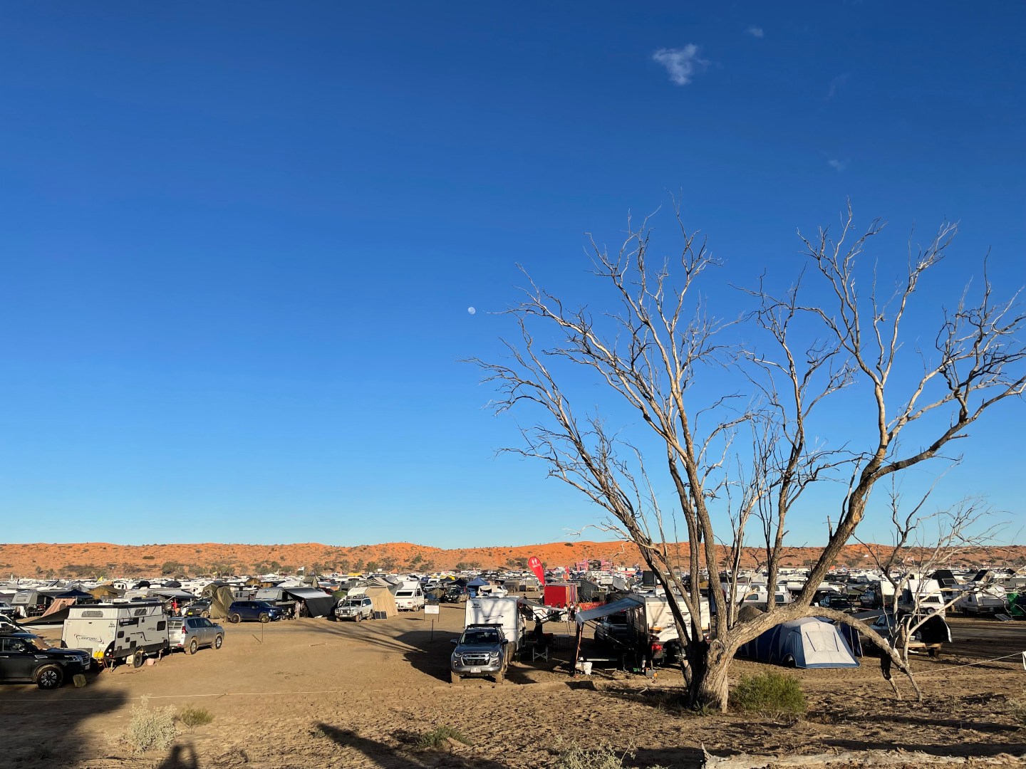 Here’s what to expect at the Big Red Bash – Julie Fison